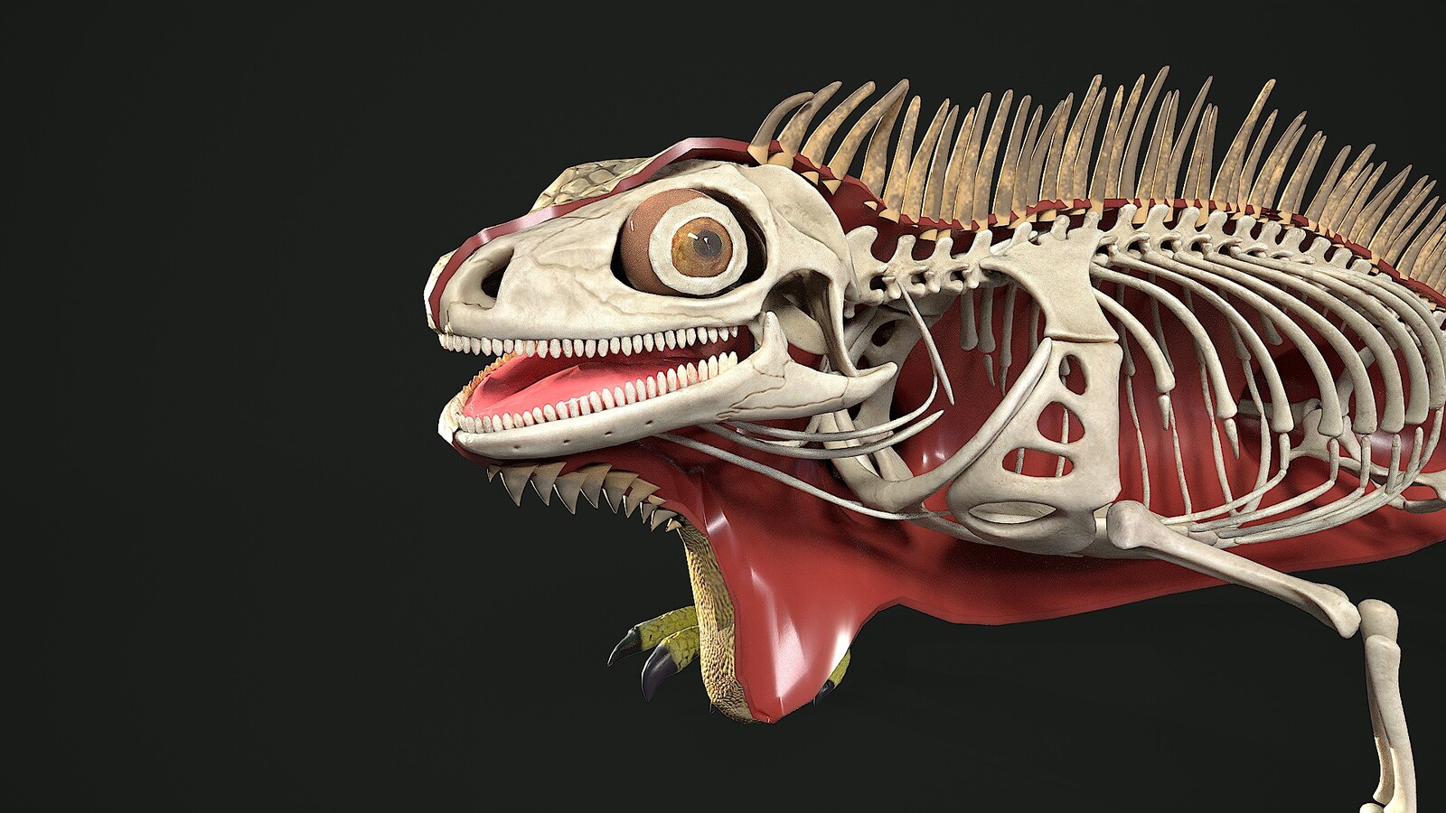 Sergey Egelsky - Iguana Skeleton