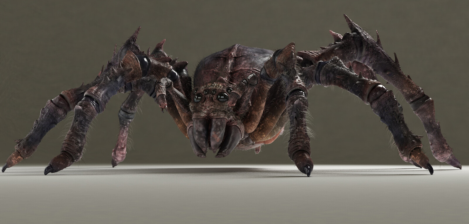 Antoan Simic - Shelob spider