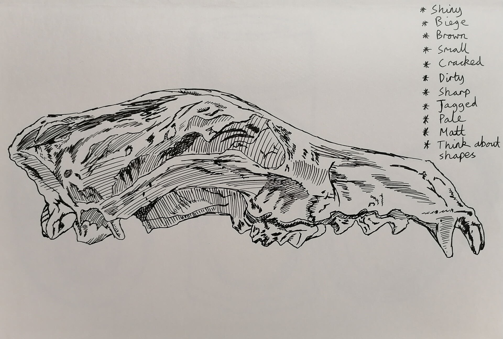 ArtStation - Still Life Drawings