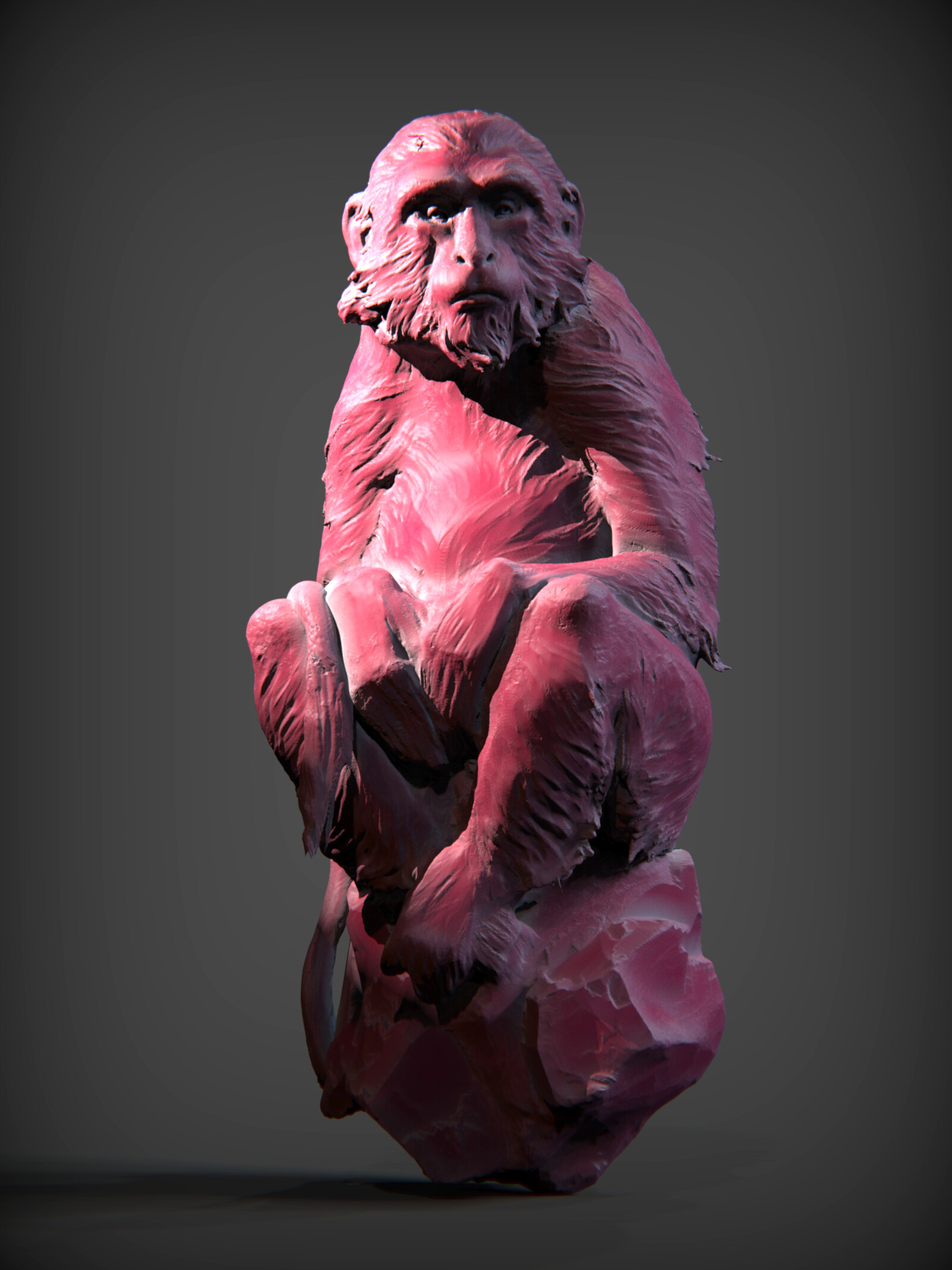 ArtStation - Monkey-Zbrush Sketch