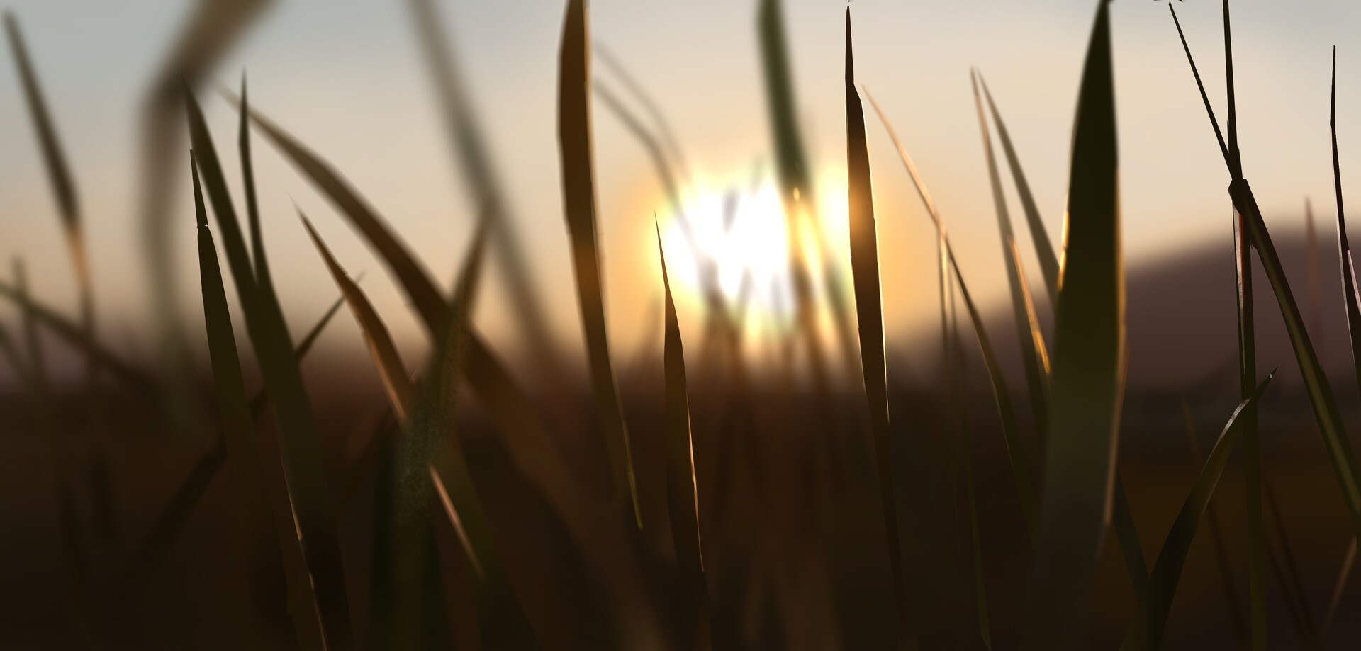 ArtStation - Tall Grass