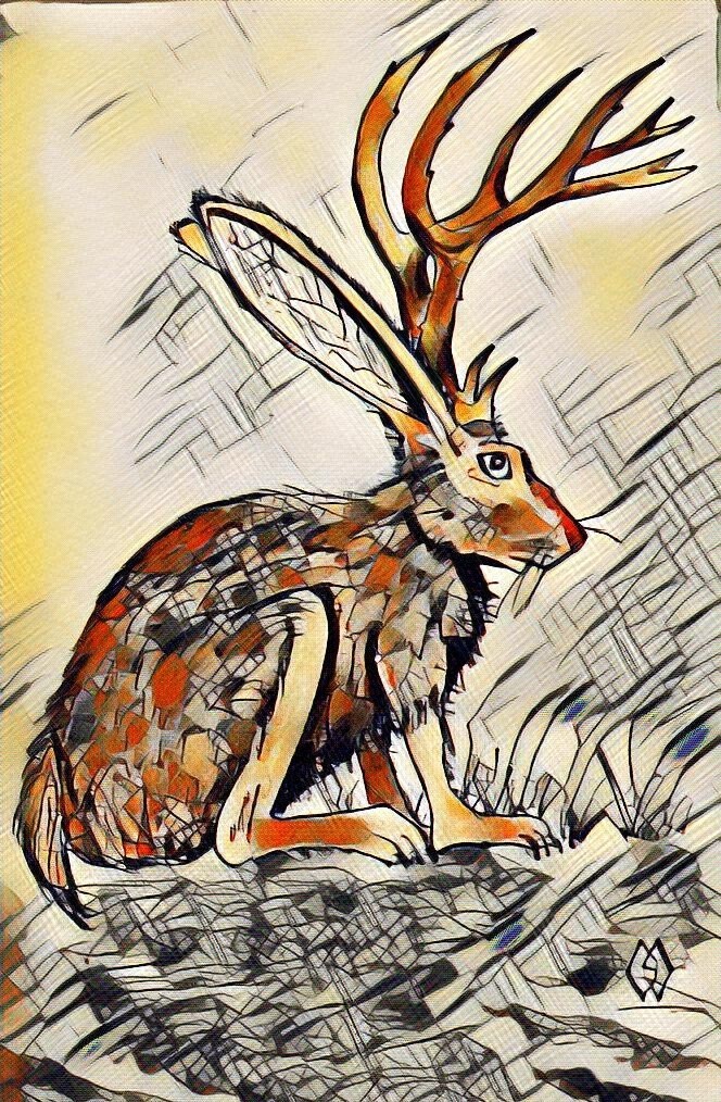 ArtStation - Jackalope in the Abstract Desert