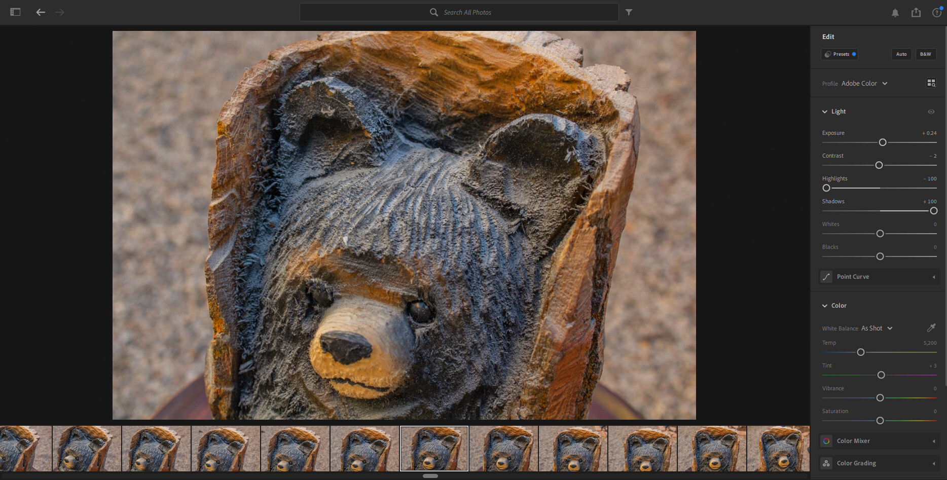 Collin Celarek - Wooden Bear 3D Model (Photogrammetry) - RealityCapture