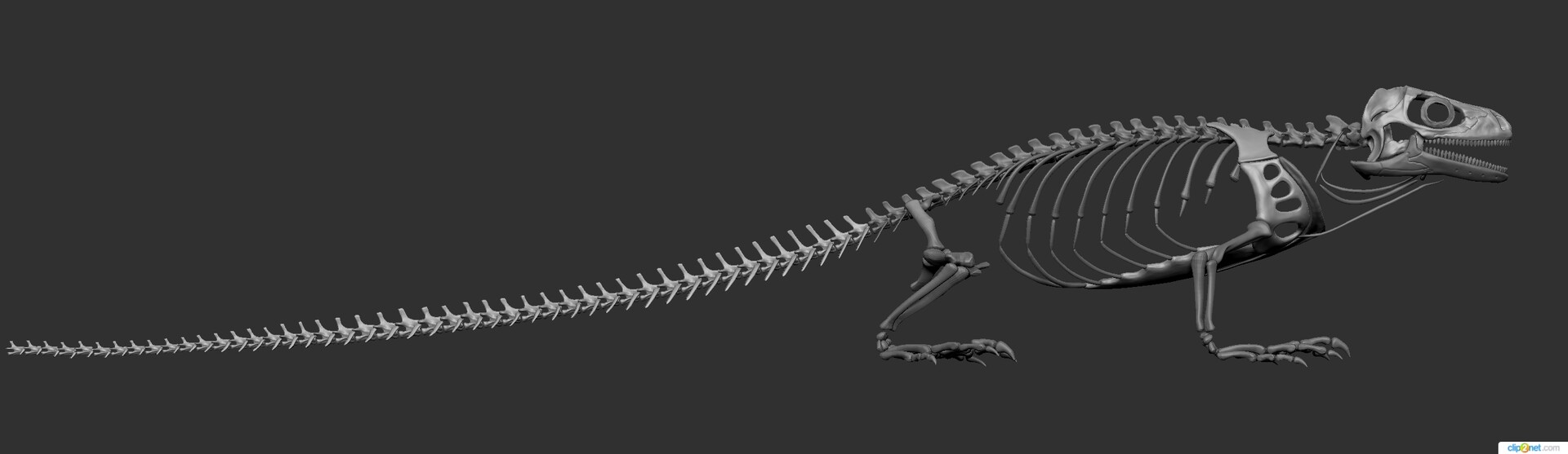 Sergey Egelsky - Iguana Skeleton