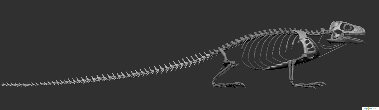 Sergey Egelsky - Iguana Skeleton