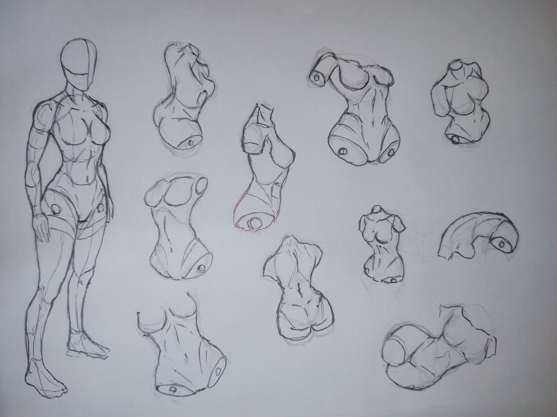 ArtStation - Female torso study