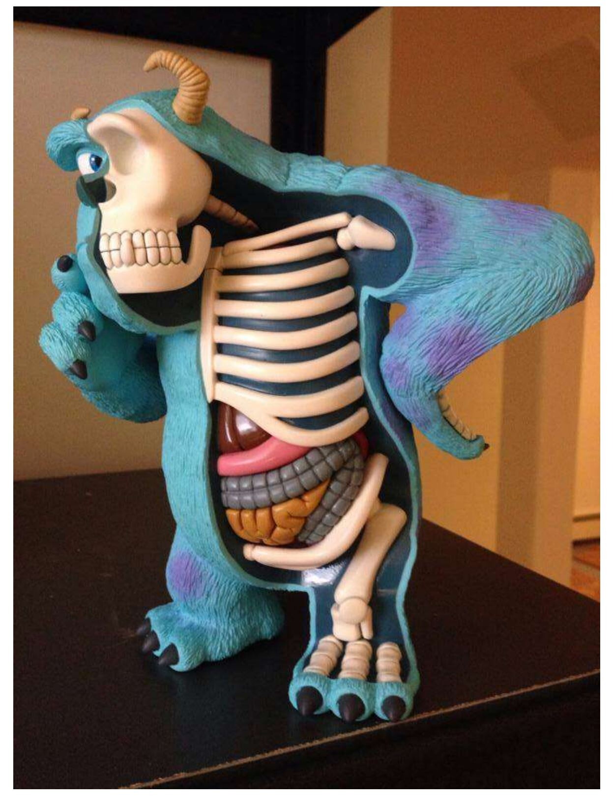 Lane Howell - Week Challenge- Sulley Dissection