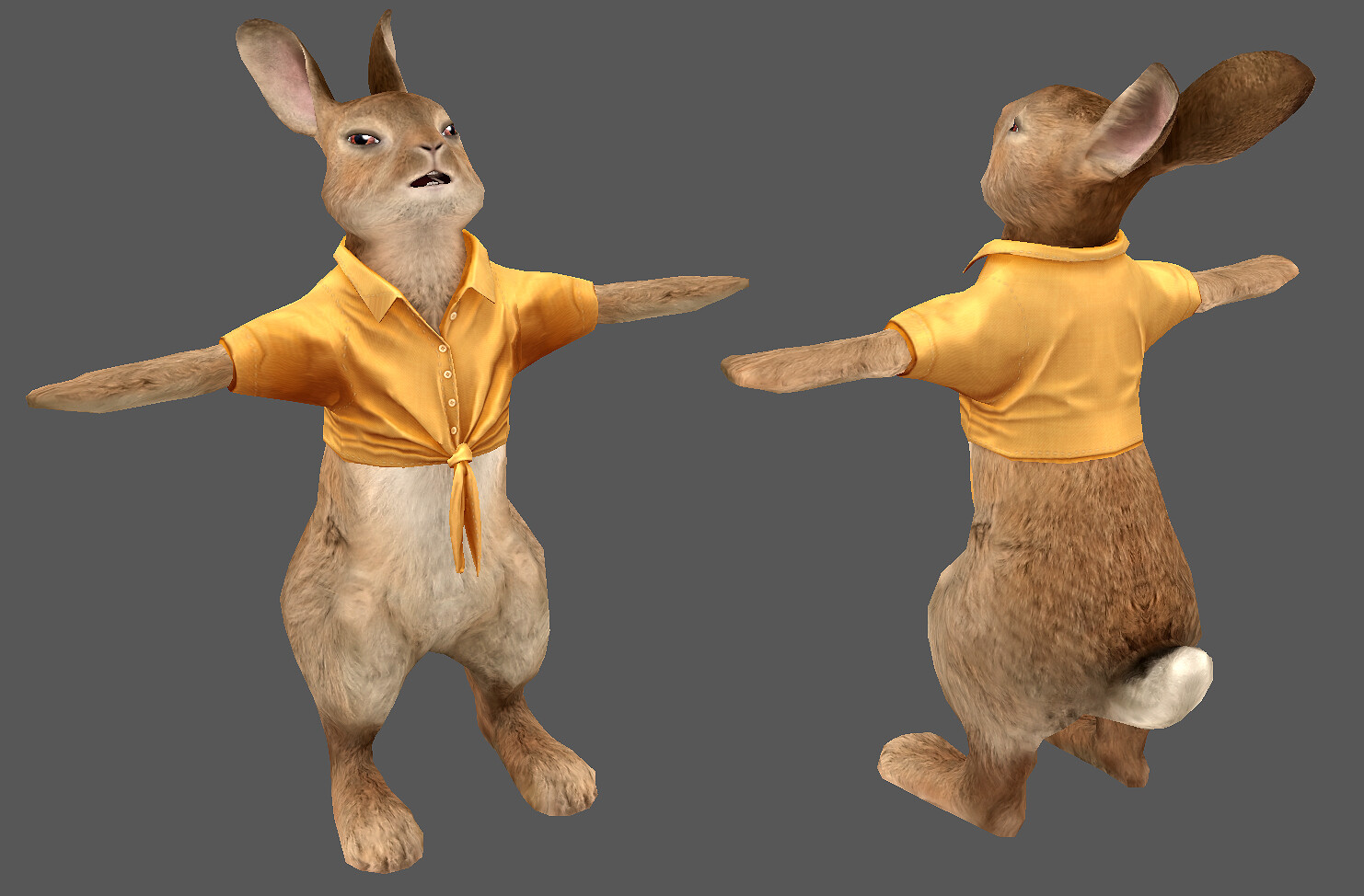 Karl Lodge - Peter Rabbit Run