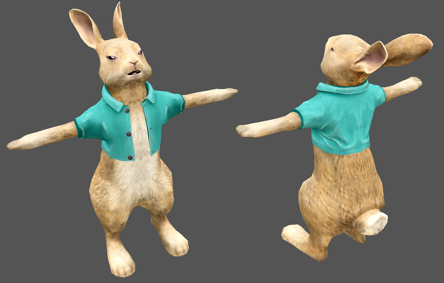 Karl Lodge - Peter Rabbit Run