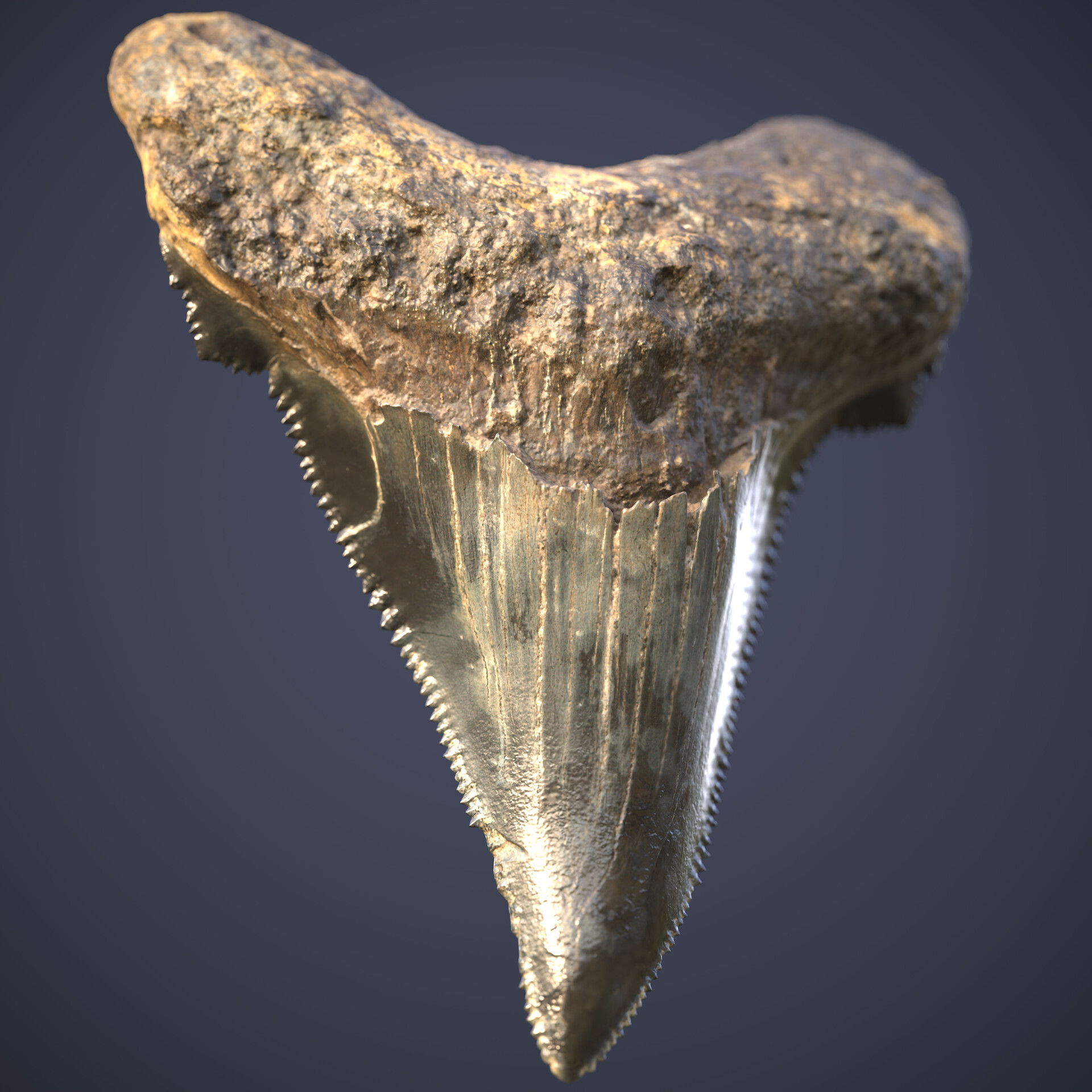 ArtStation - 3D Scan of Megalodon Shark Tooth