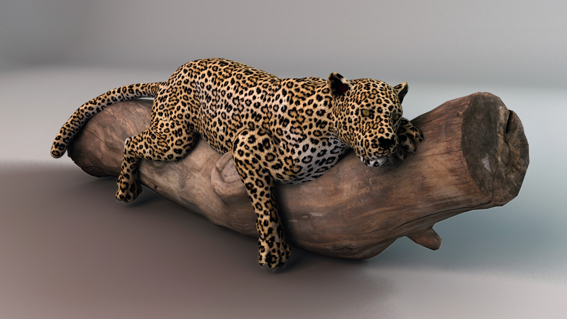 ArtStation - rig leopard