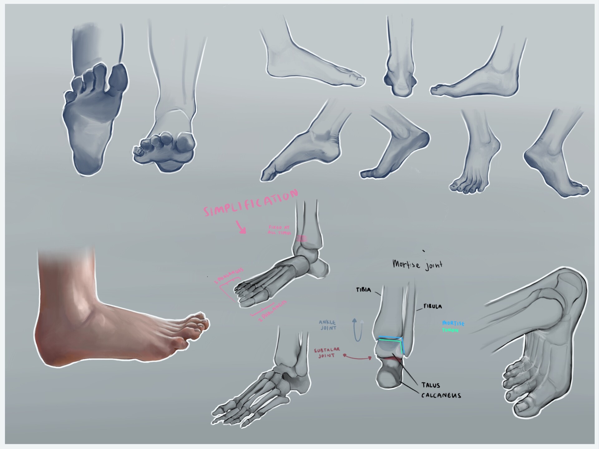 ArtStation - Just some foot studies