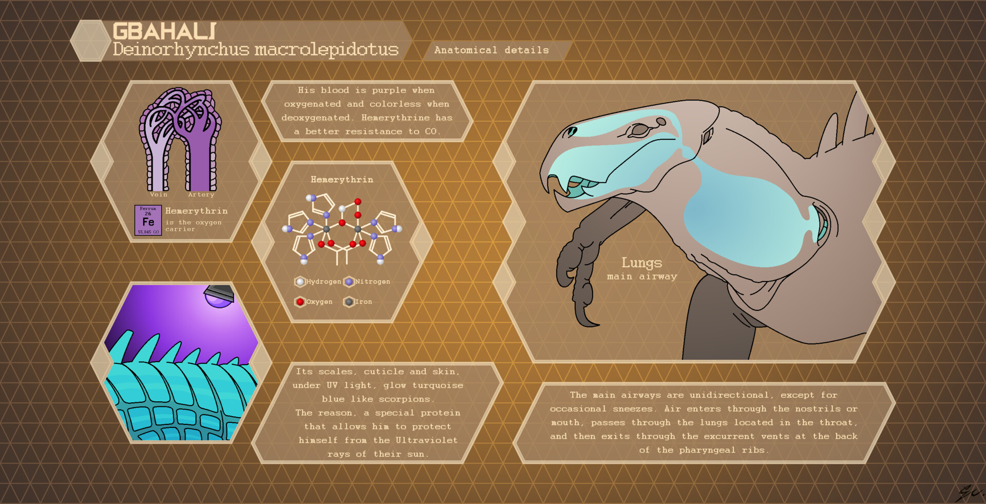 Antoine Grailet - Geminorum-F Fauna - The Gbahali