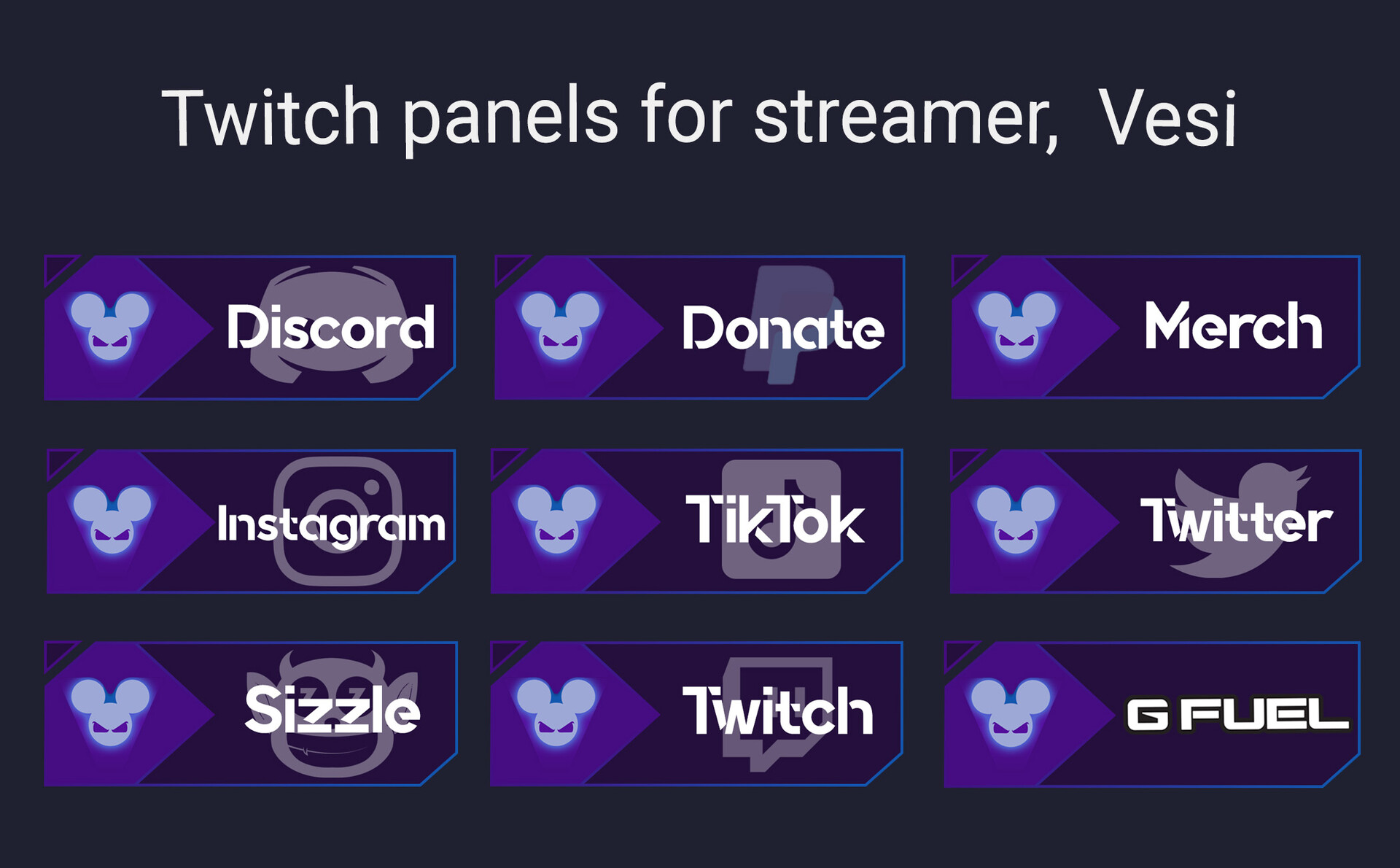 Emma (Zilla) Schoenfelder - Twitch Panels Examples