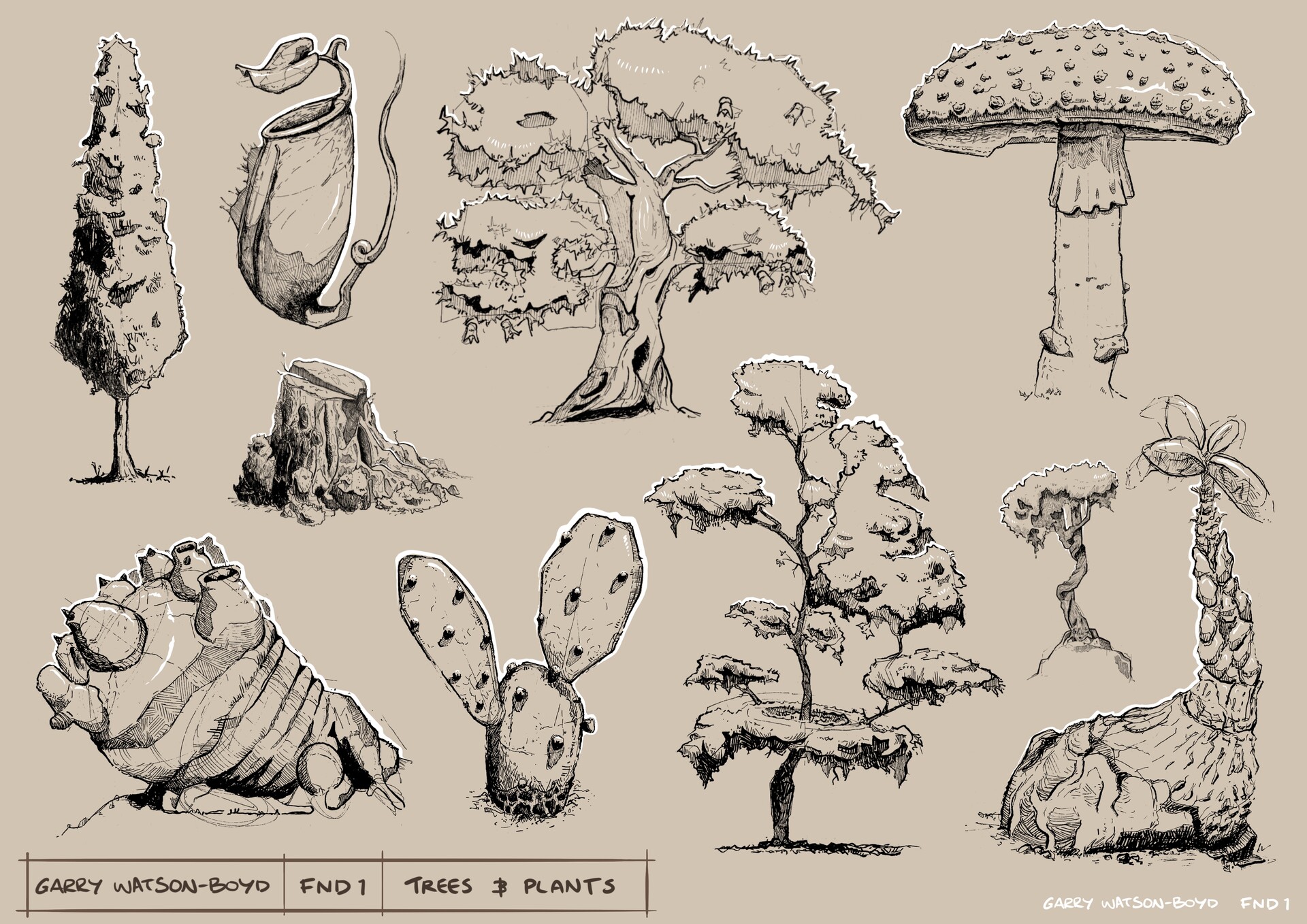 ArtStation - Tree and Plant Studies