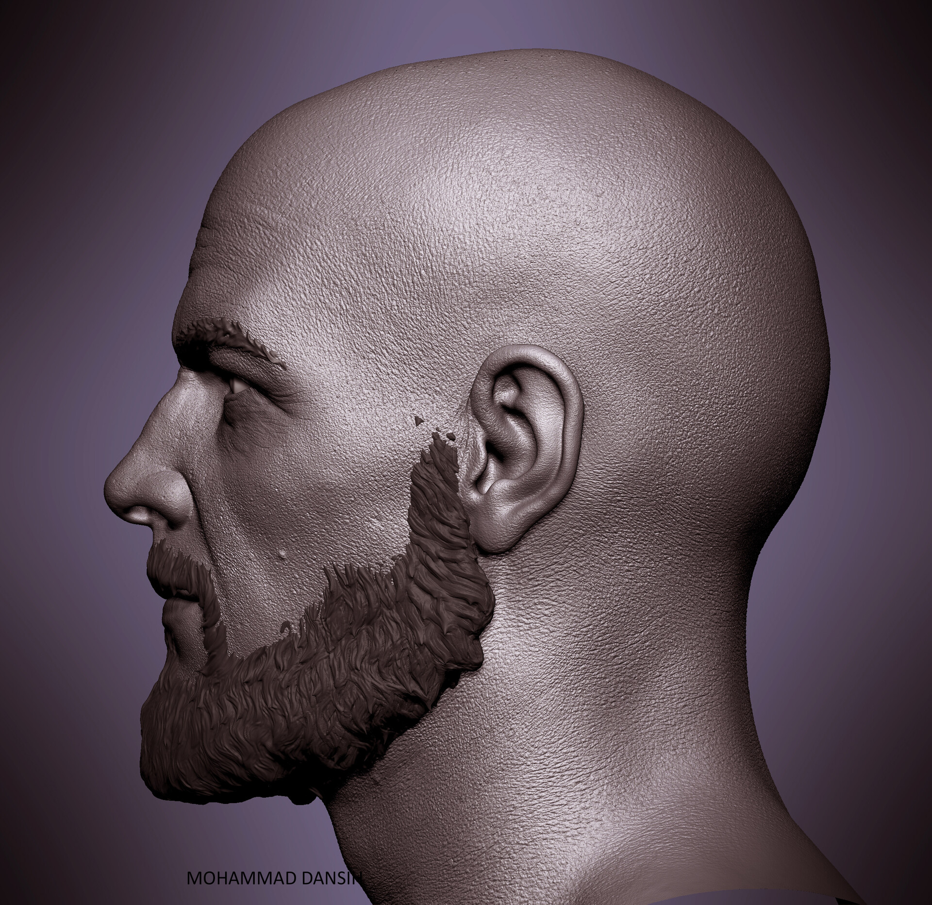 Mohammad Danish - Old Hunter Head