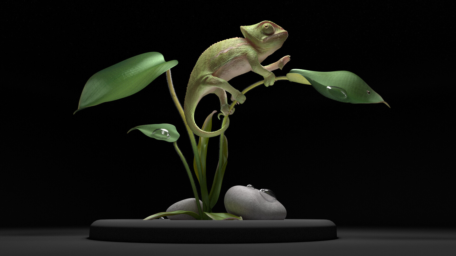 ArtStation - 3D Chameleon