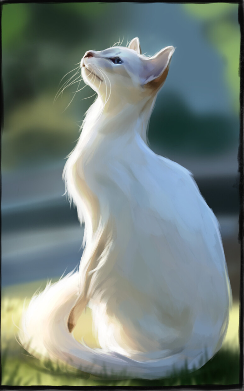 ArtStation - Animal studies