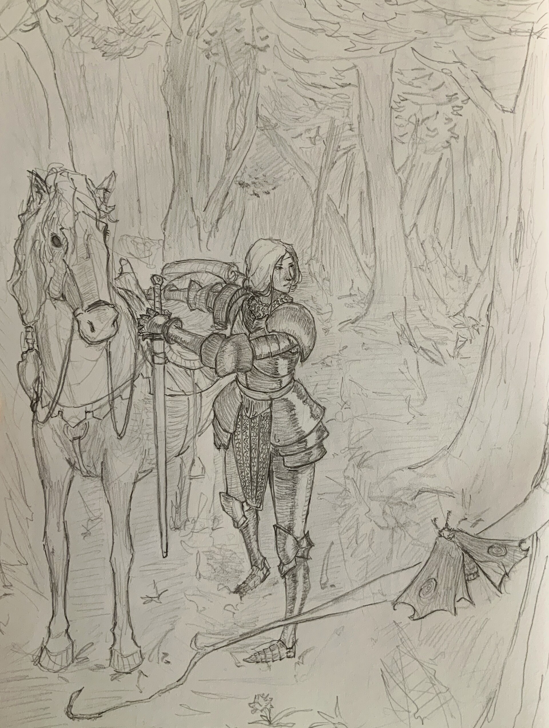 Felix Meier - The knight and the moth