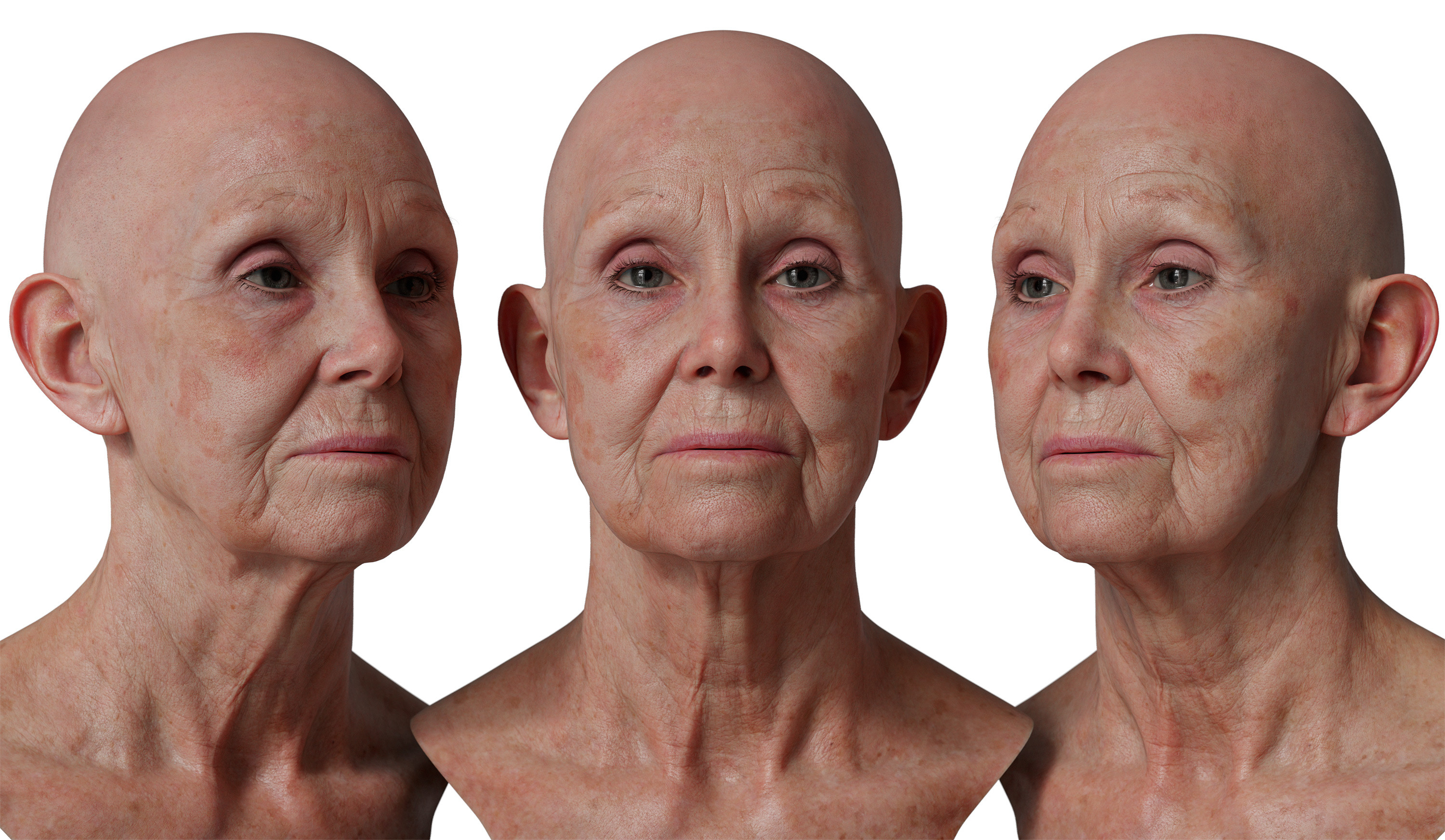 3D Scan Store - 80 x New HD Head Scans