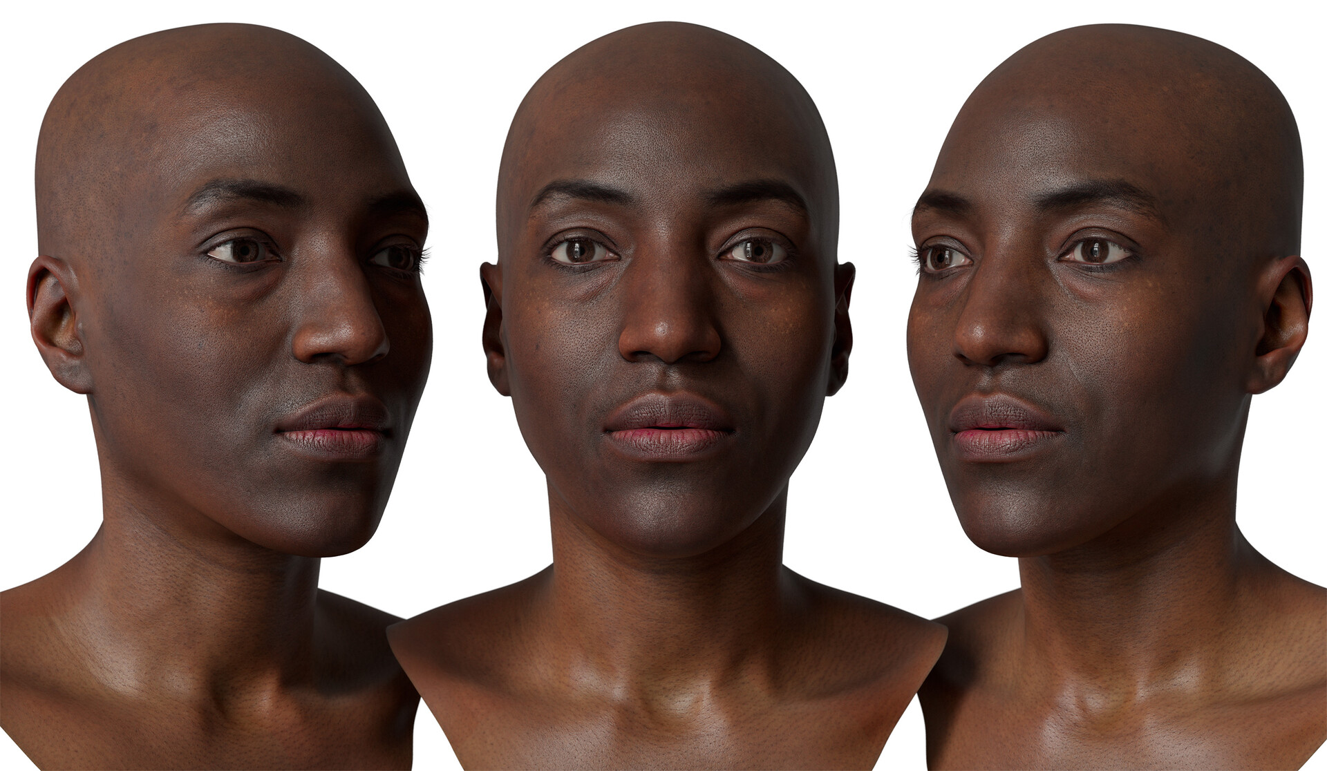 3D Scan Store - 80 x New HD Head Scans