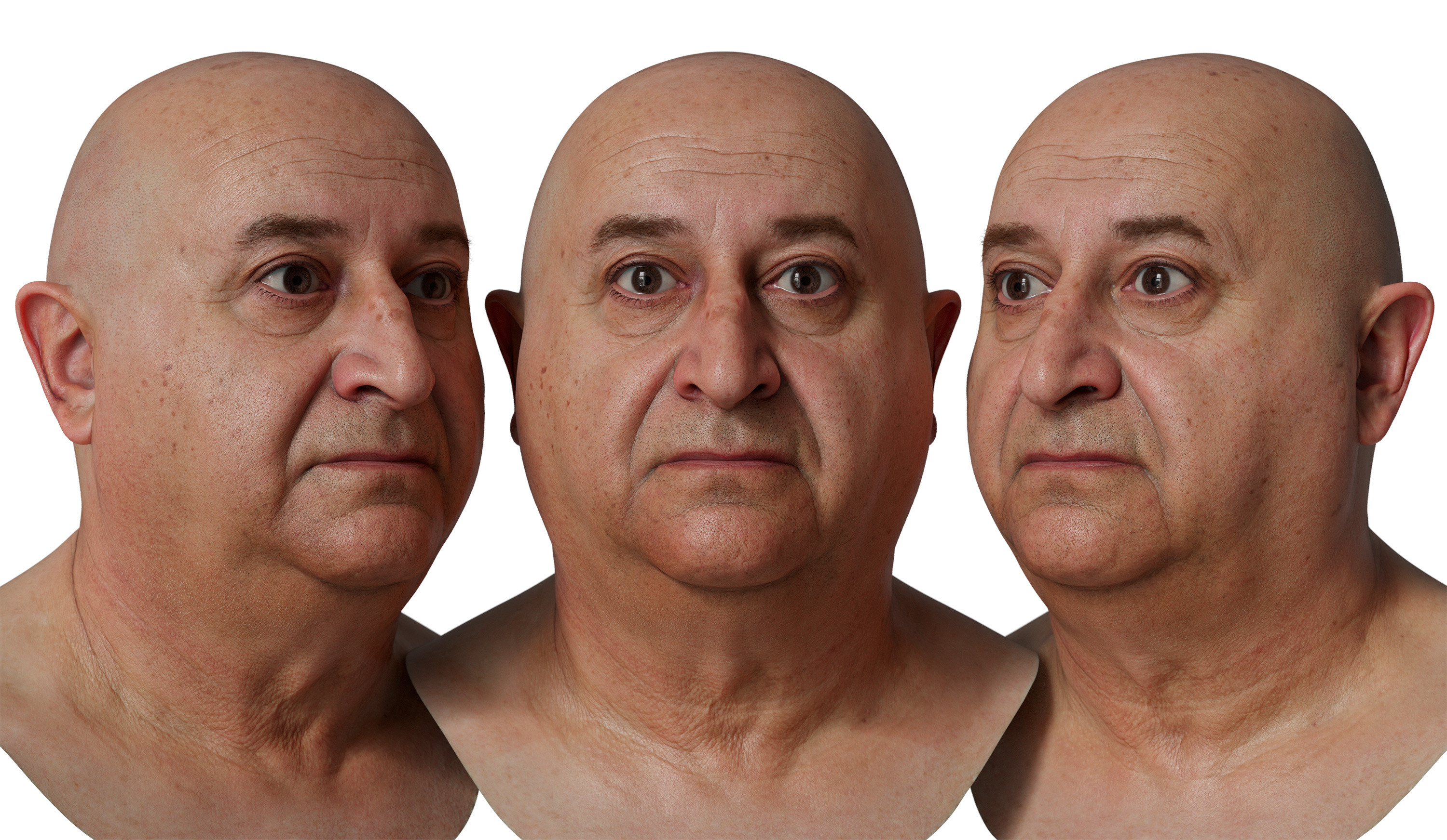 3D Scan Store - 80 x New HD Head Scans