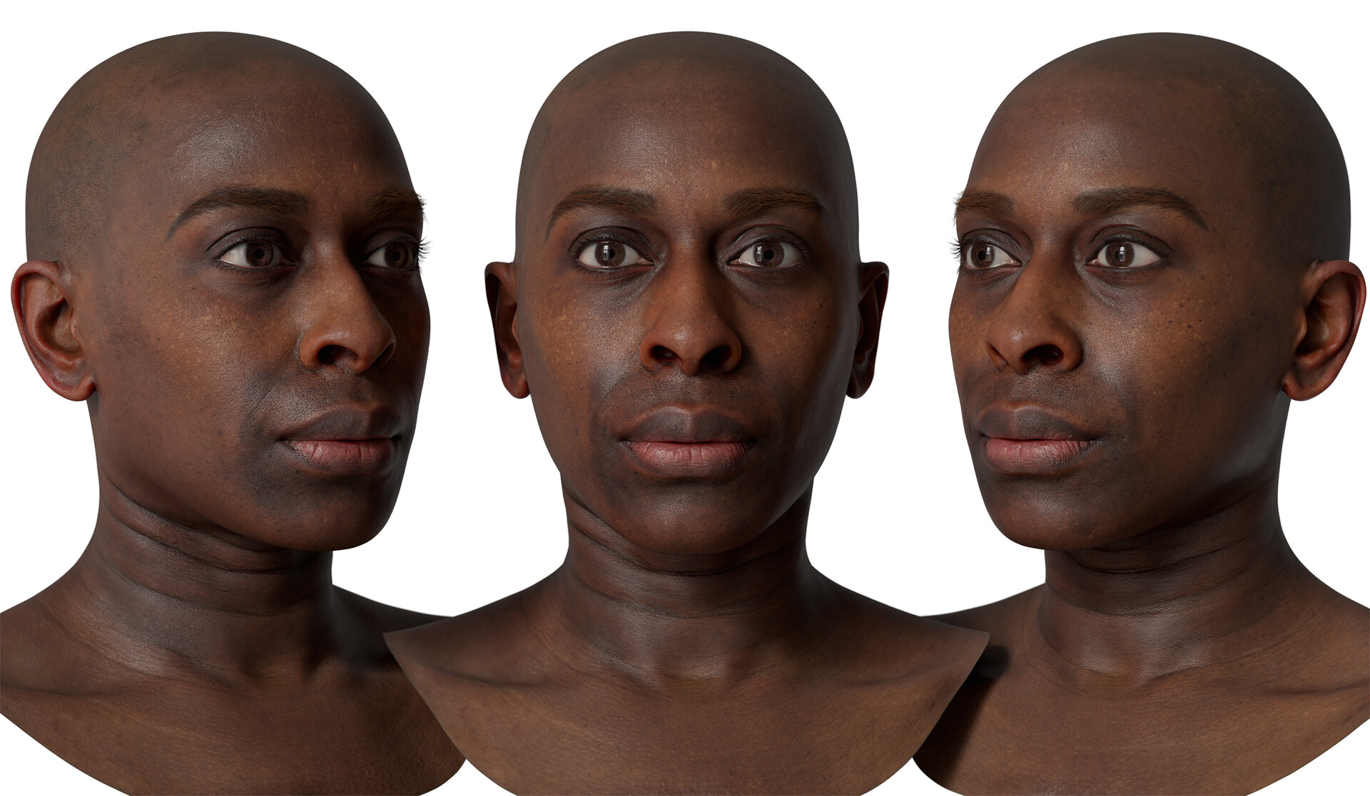 3D Scan Store - 80 x New HD Head Scans