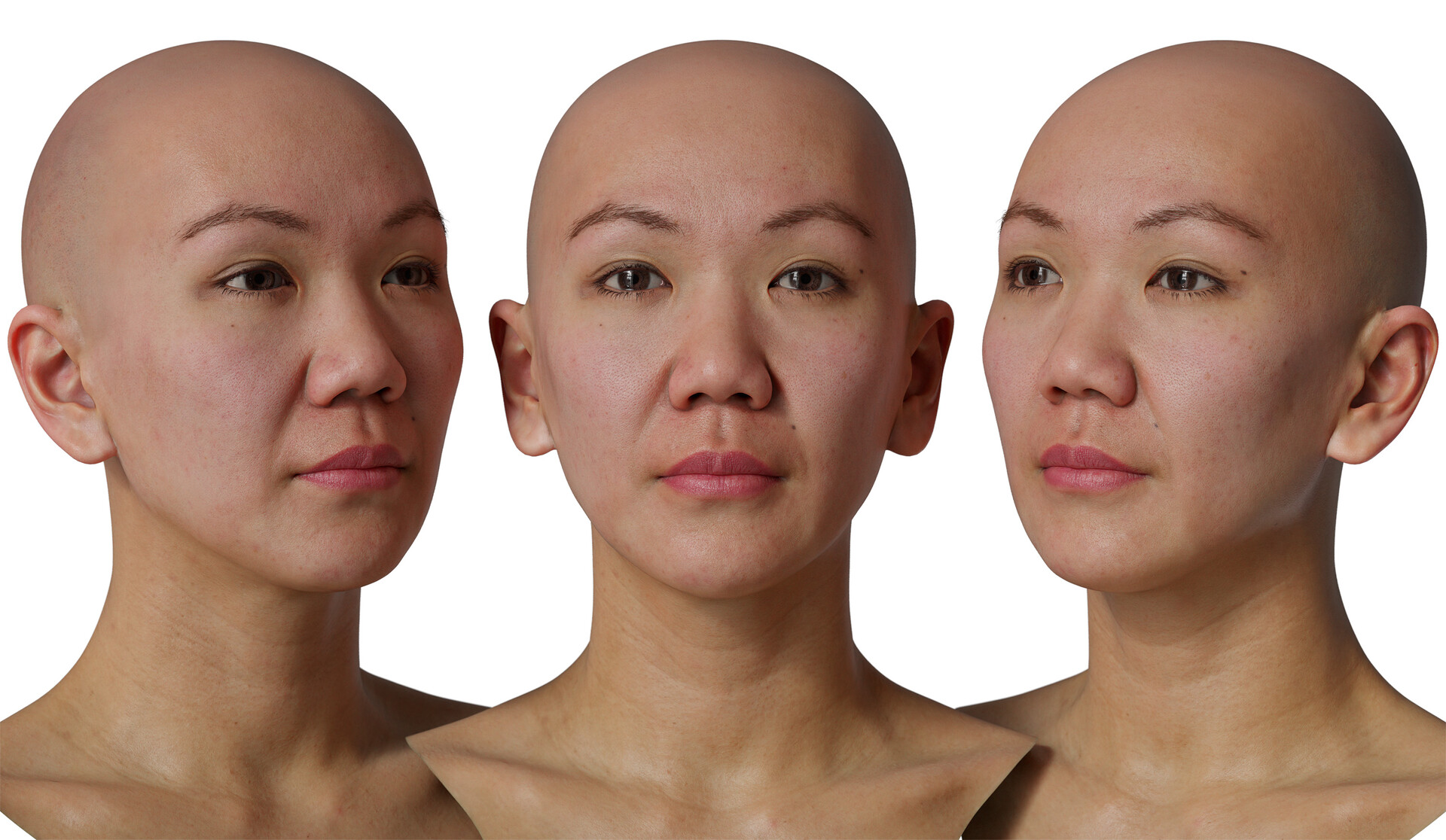 3D Scan Store - 80 x New HD Head Scans