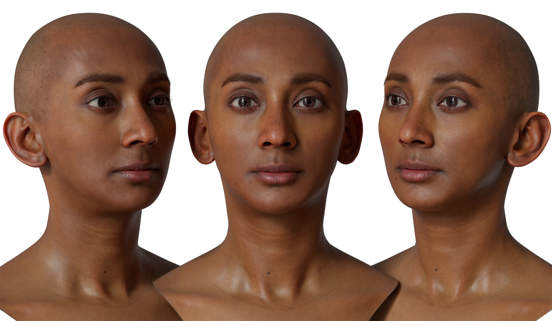 3D Scan Store - 80 x New HD Head Scans