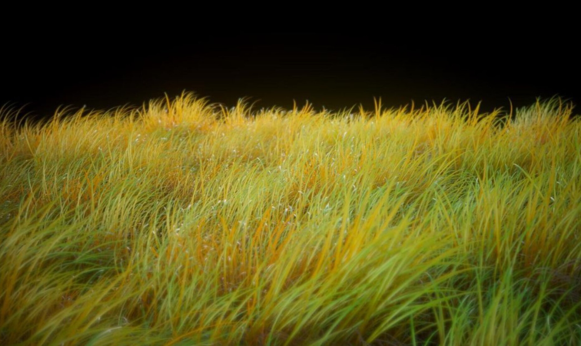 ArtStation - Grass 3D