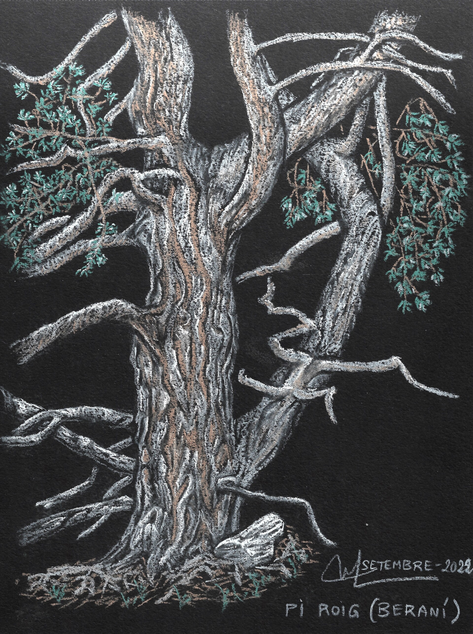 ArtStation - Pi roig (Red pine)