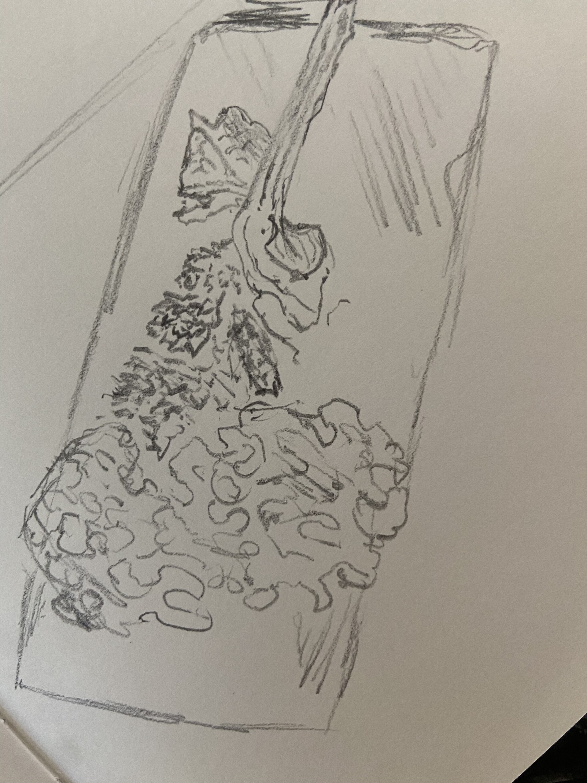 ArtStation - Wooly cockscomb flower sketch. My power is down and I was ...