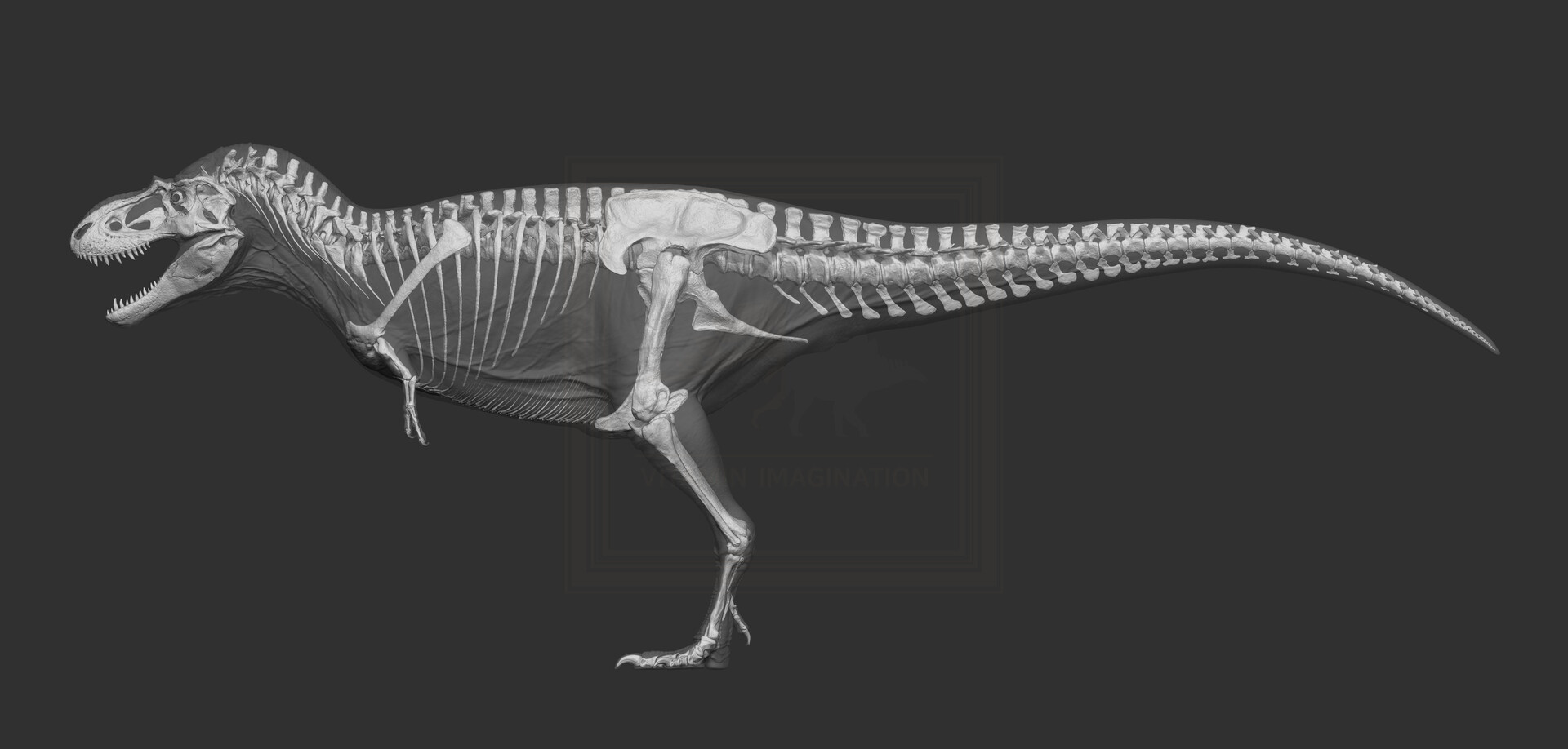 Albertosaurus Skeleton