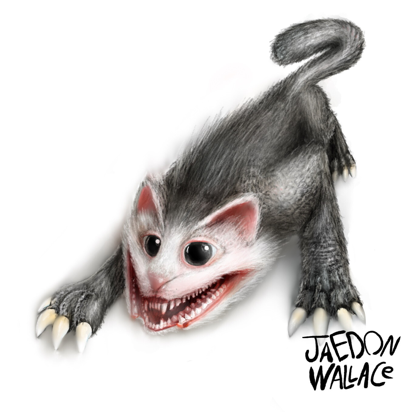 Jaedon Wallace - Opossum Cat (Monster Cat)