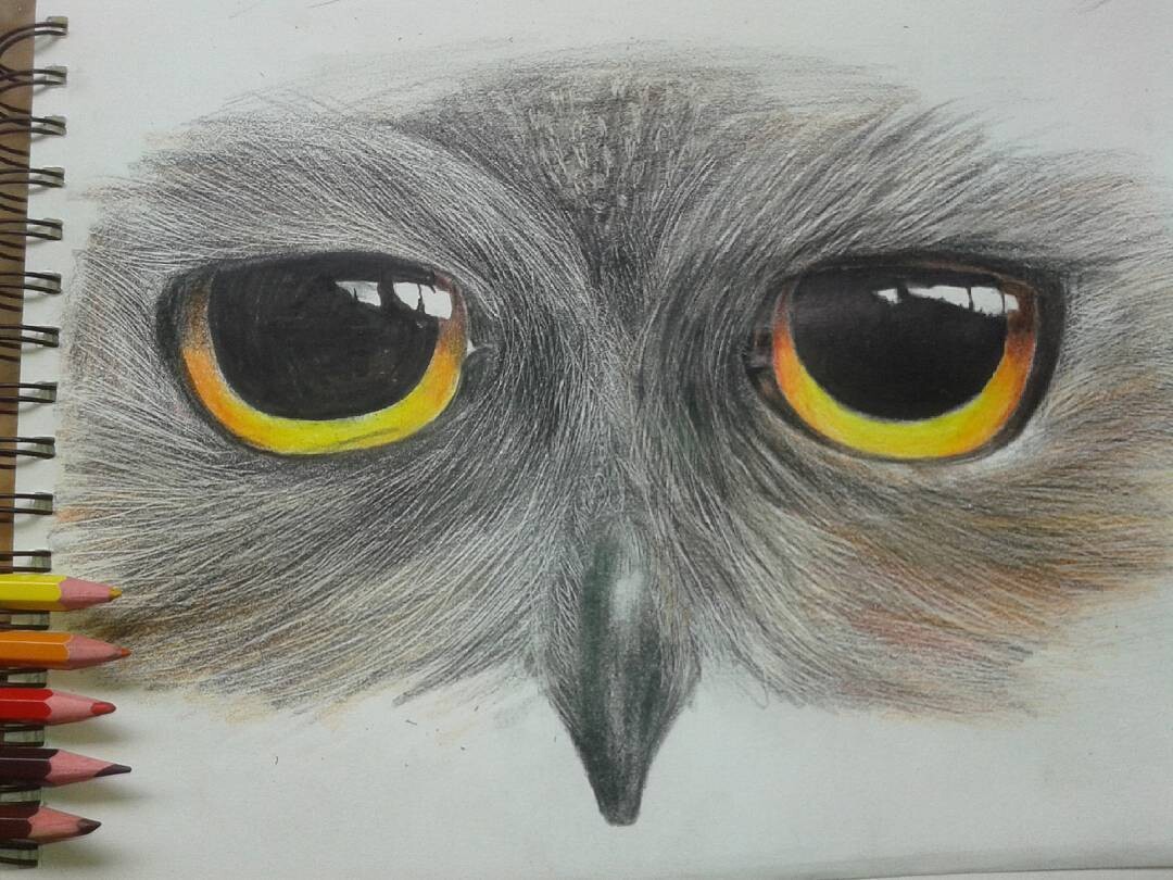 ArtStation - Colorized Animal Eyes drawing