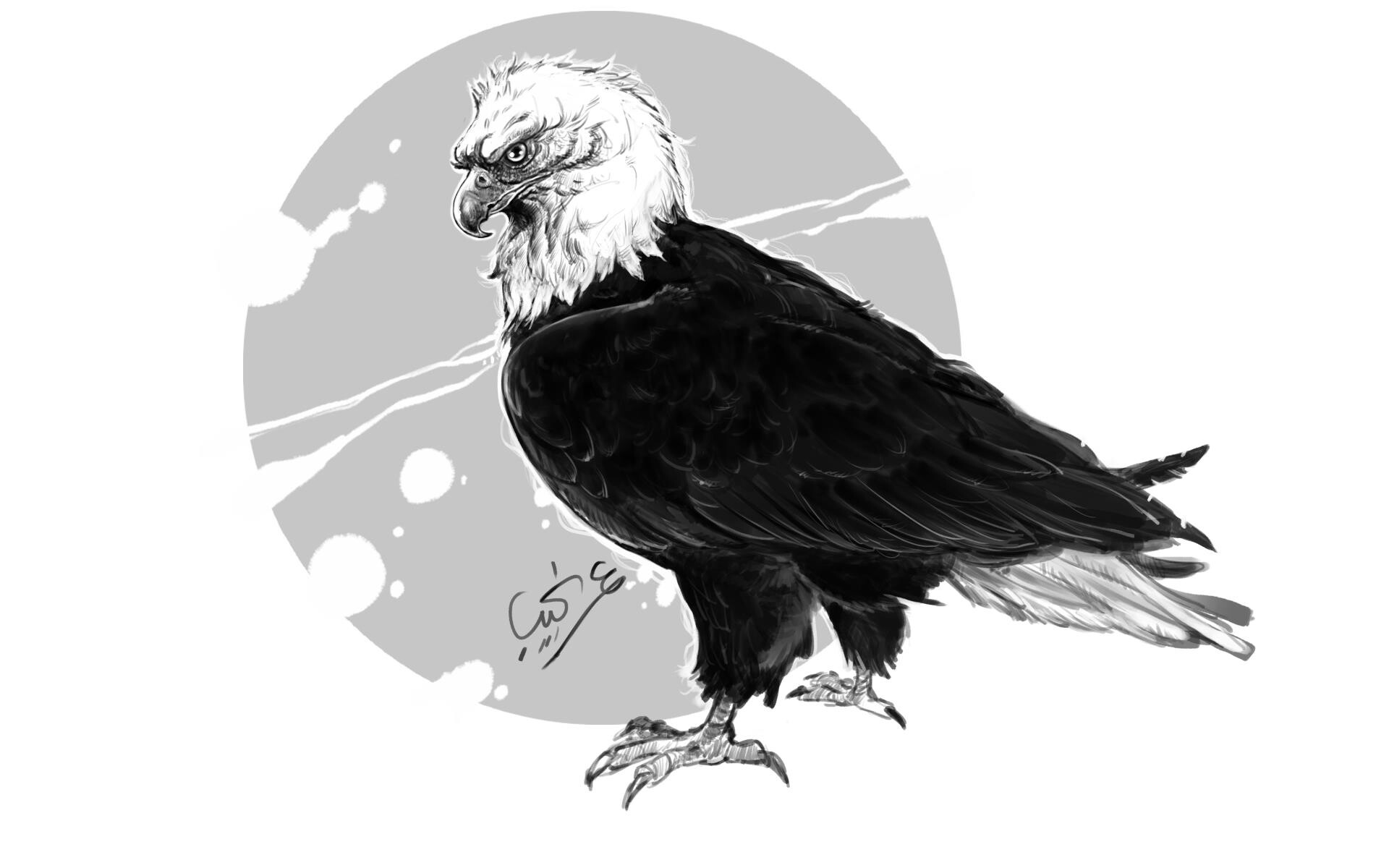 ArtStation - eagle