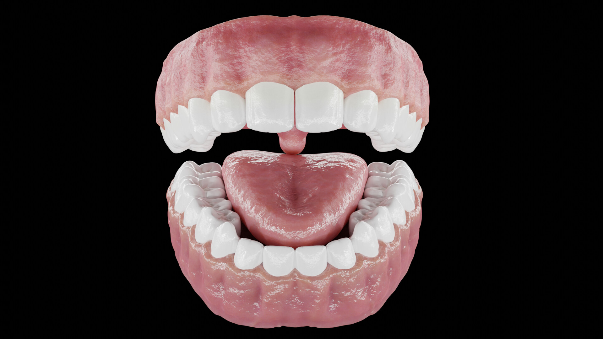 ArtStation - trying to achieve realism in Gums , Teeth and Tongue some ...