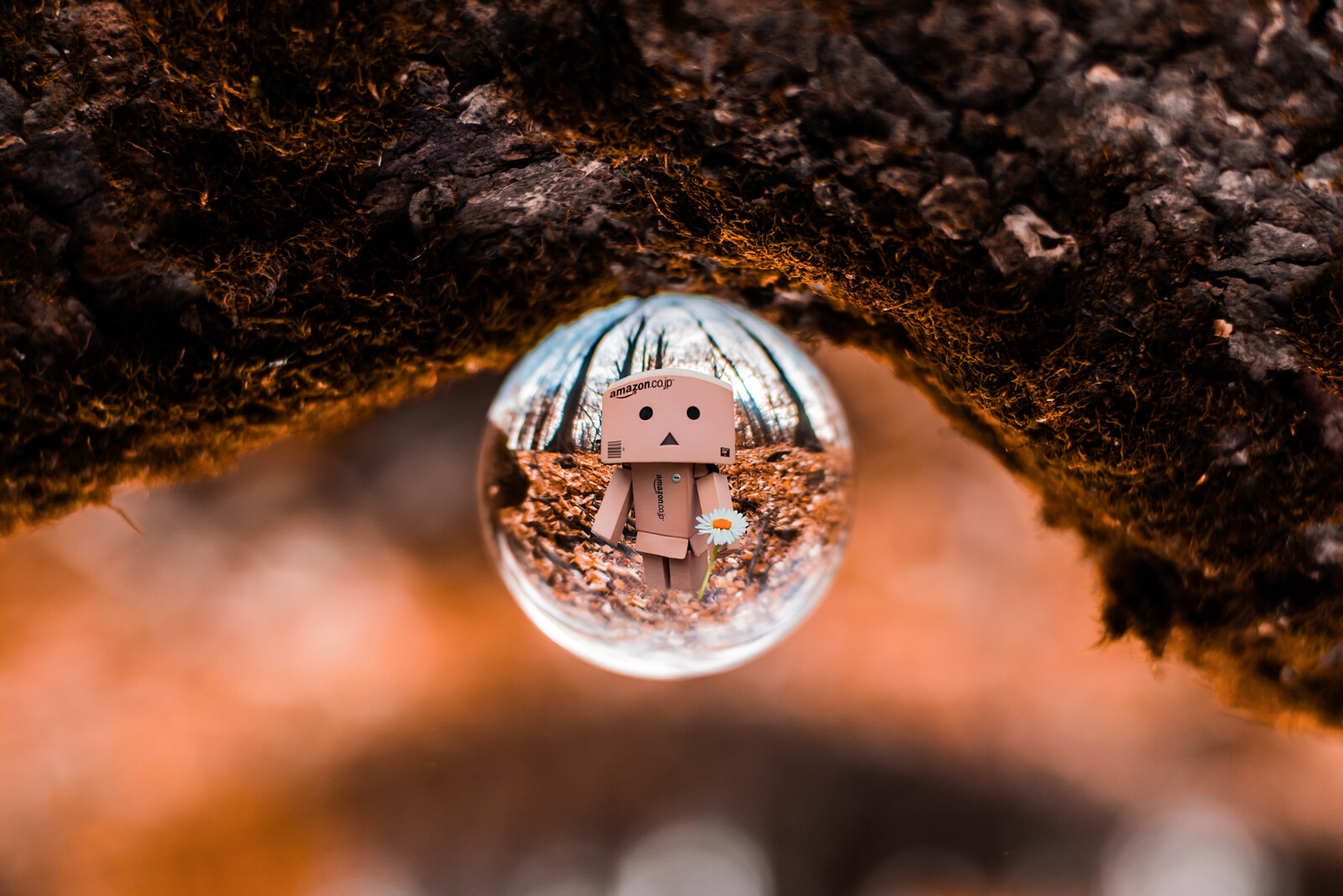 Inspired designer - Little box man in the forest