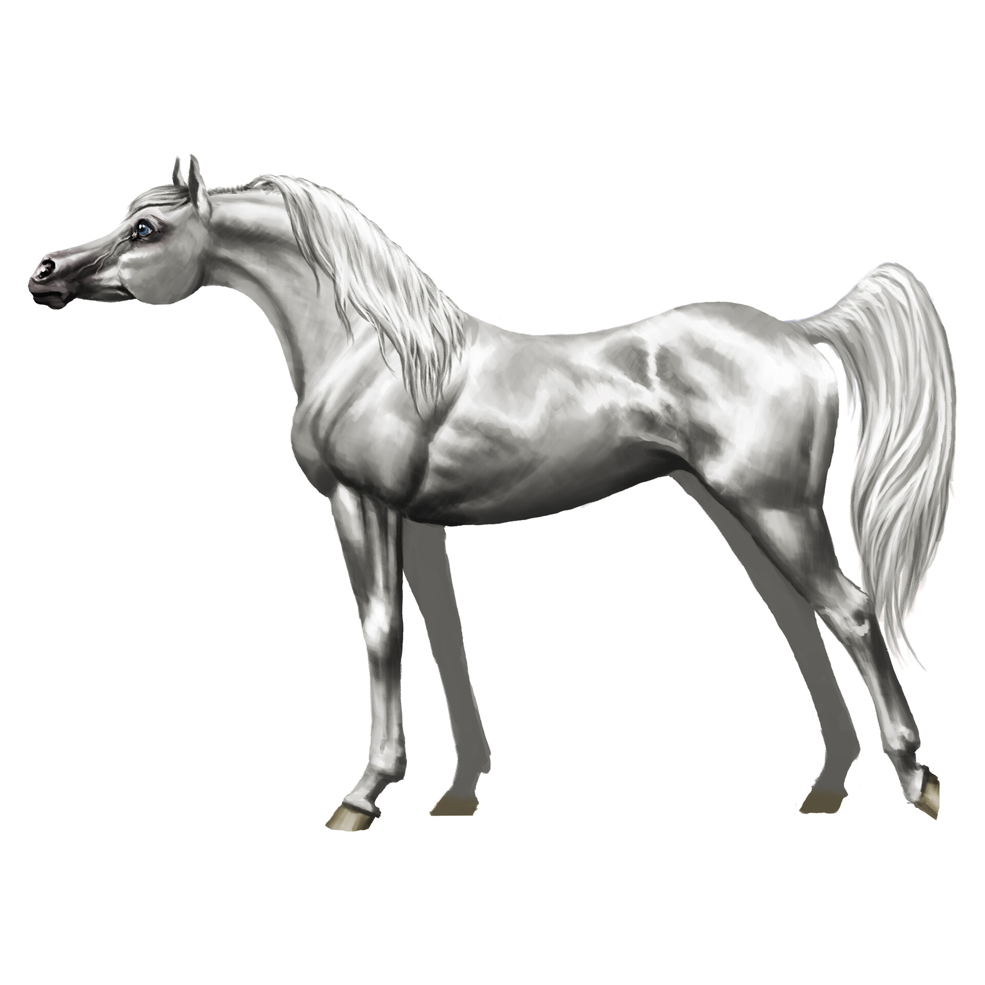 ArtStation - Horse Design - 2 - Arabian