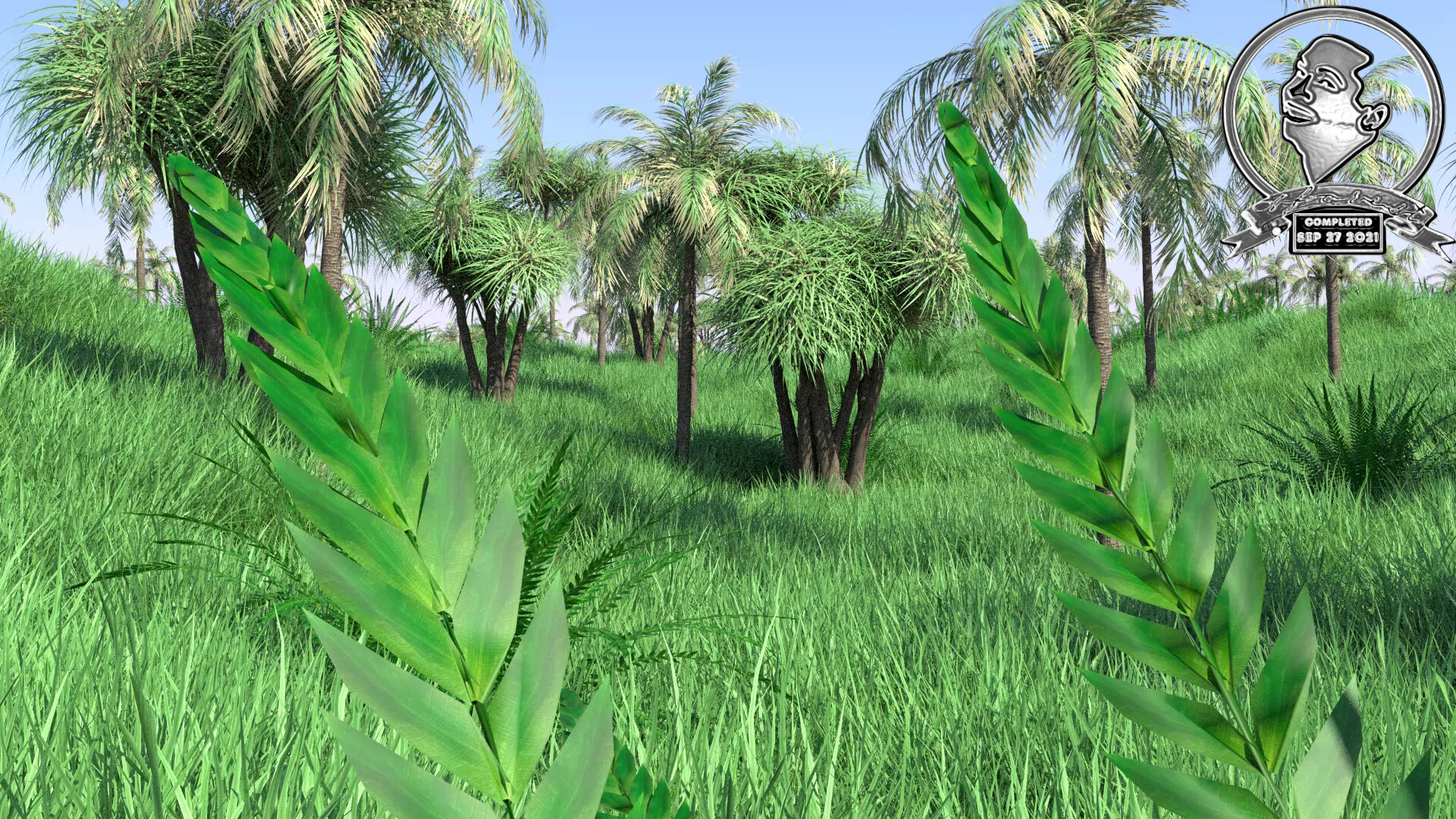 Neverson Forest - Upcoming Bubbles