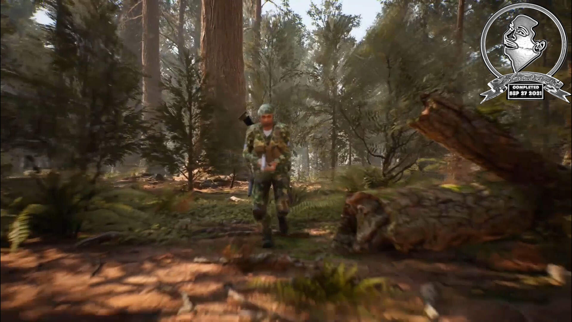 Neverson Forest - Upcoming Bubbles