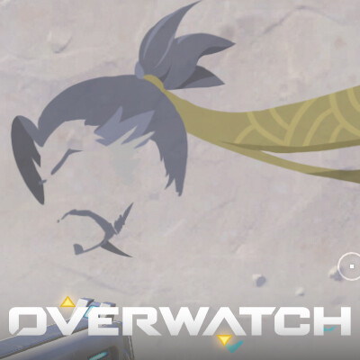Martin Reynoso - Overwatch Sprays