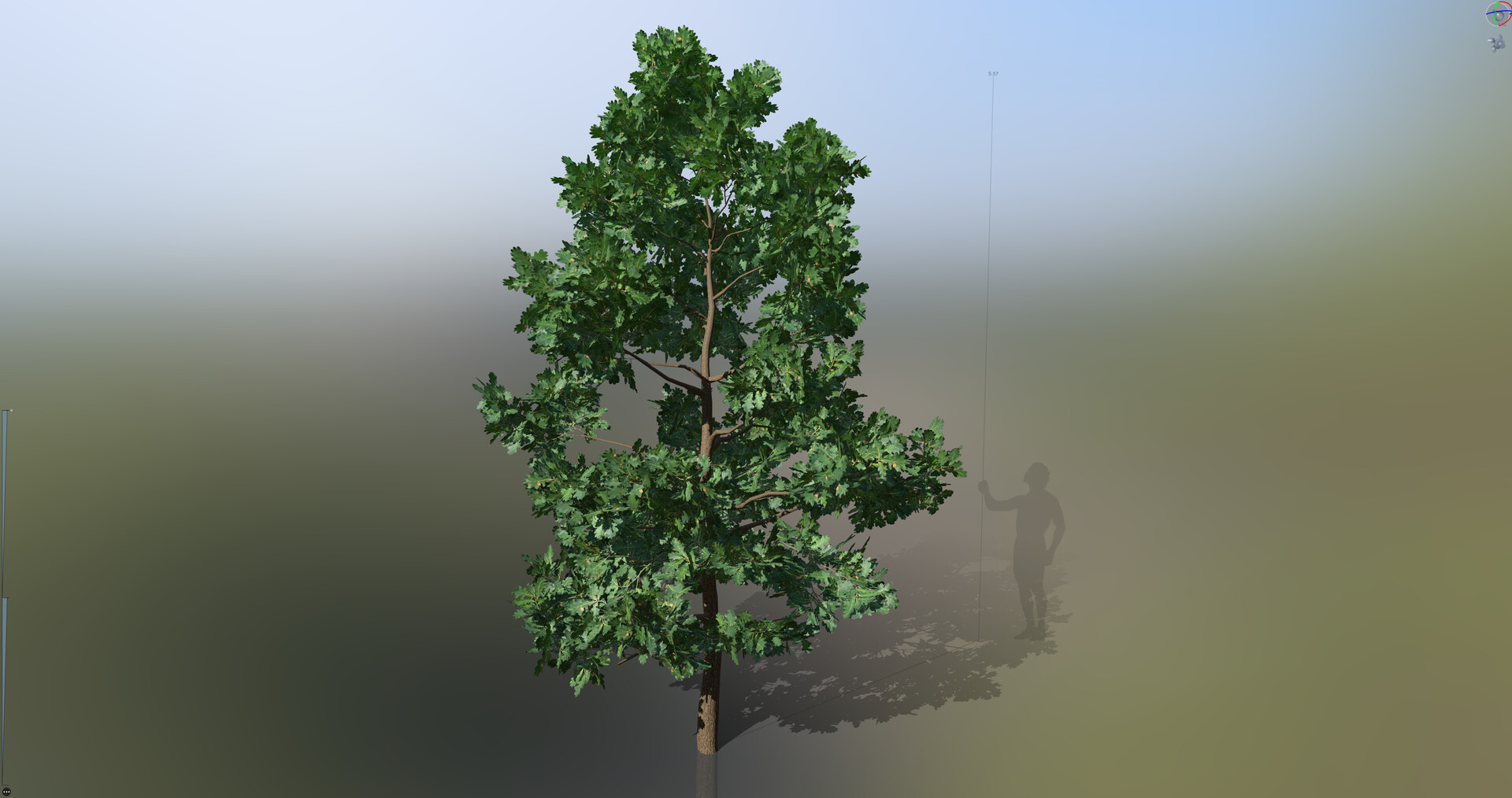Bodo Schütze - Game Ready Oak Trees 3D Scanned