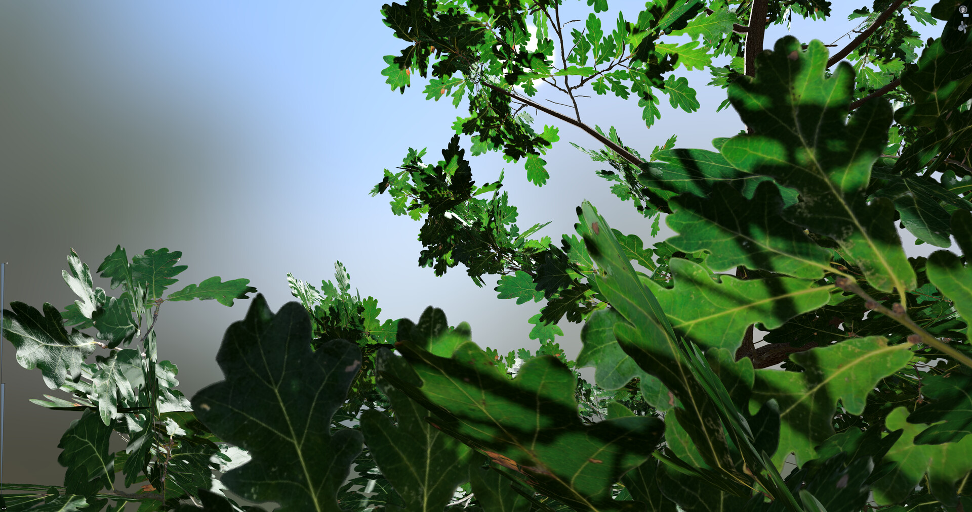 Bodo Schütze - Game Ready Oak Trees 3D Scanned