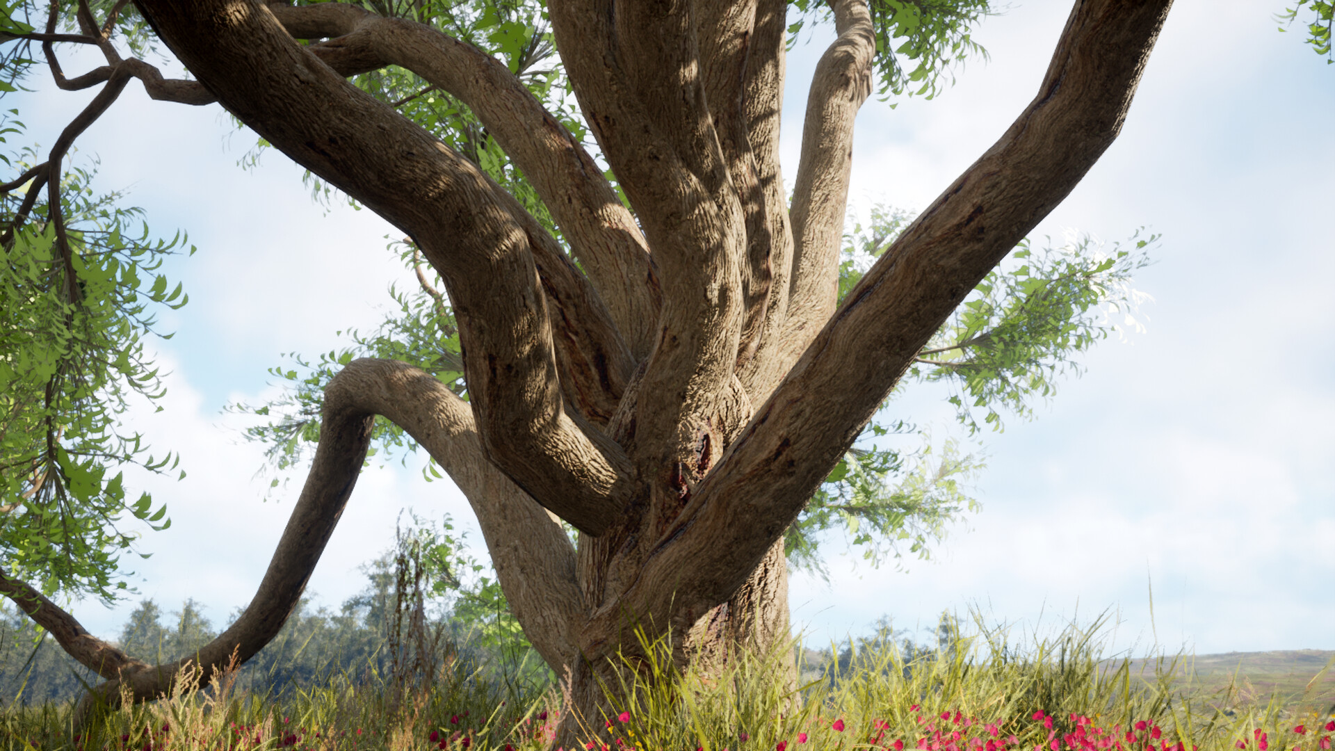 Jan Arenz - Houdini: Tree Study - Hero Trees