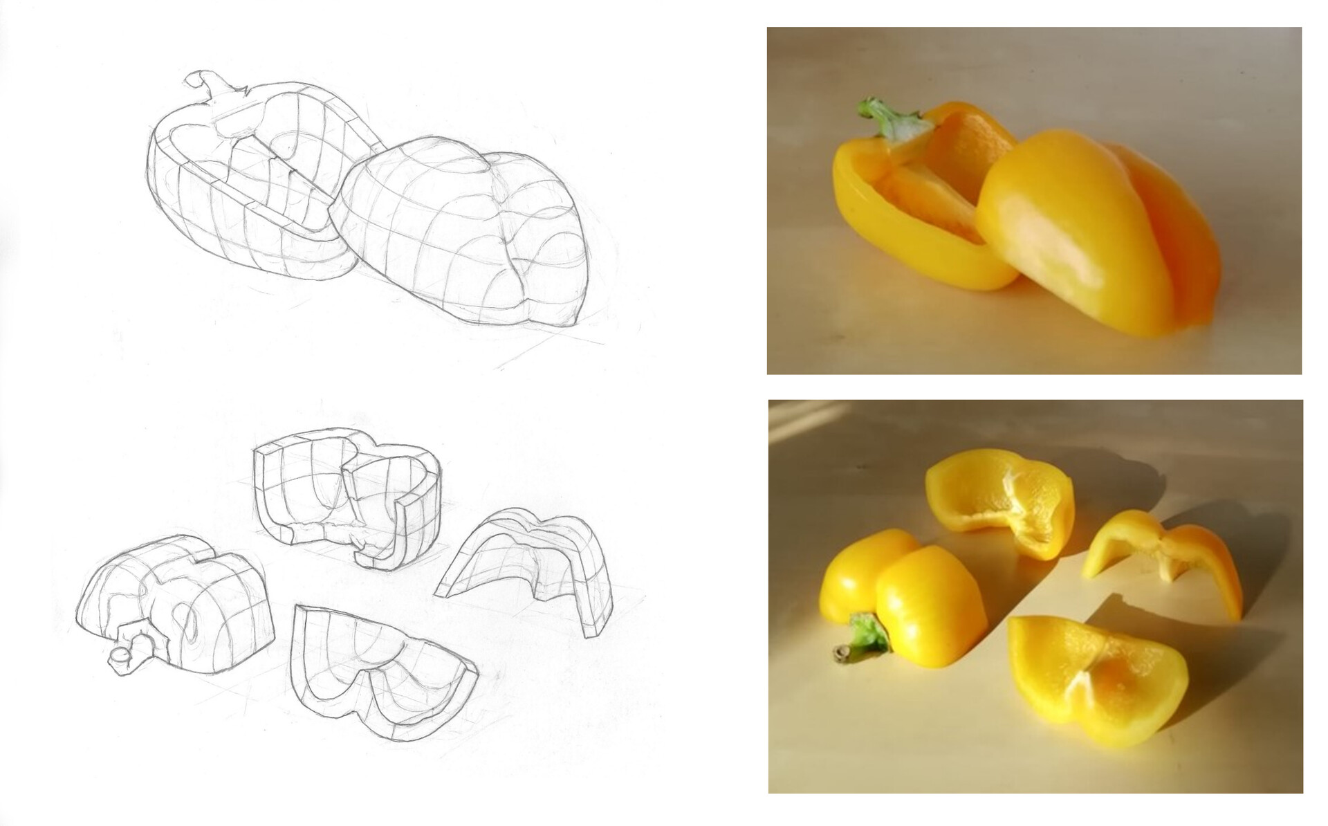 ArtStation - Studies of a Bell Pepper