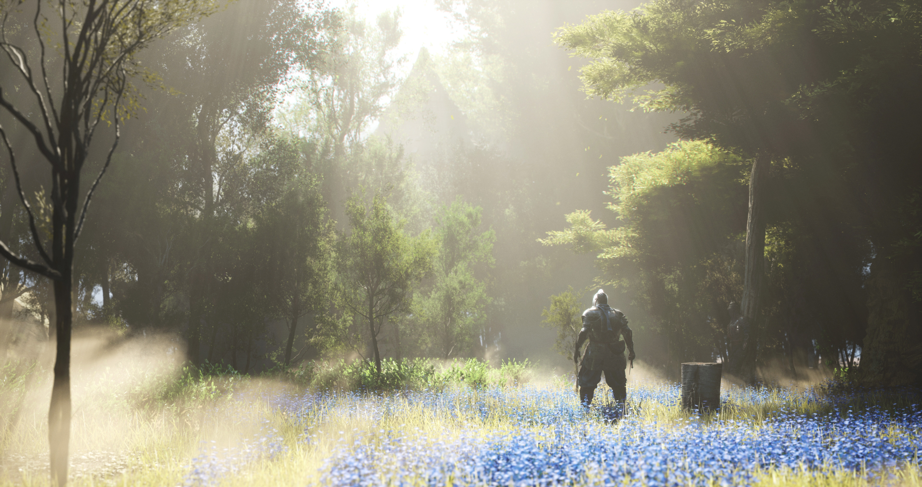 Jonathon Gregory Bick - Hinterland Concepts 2