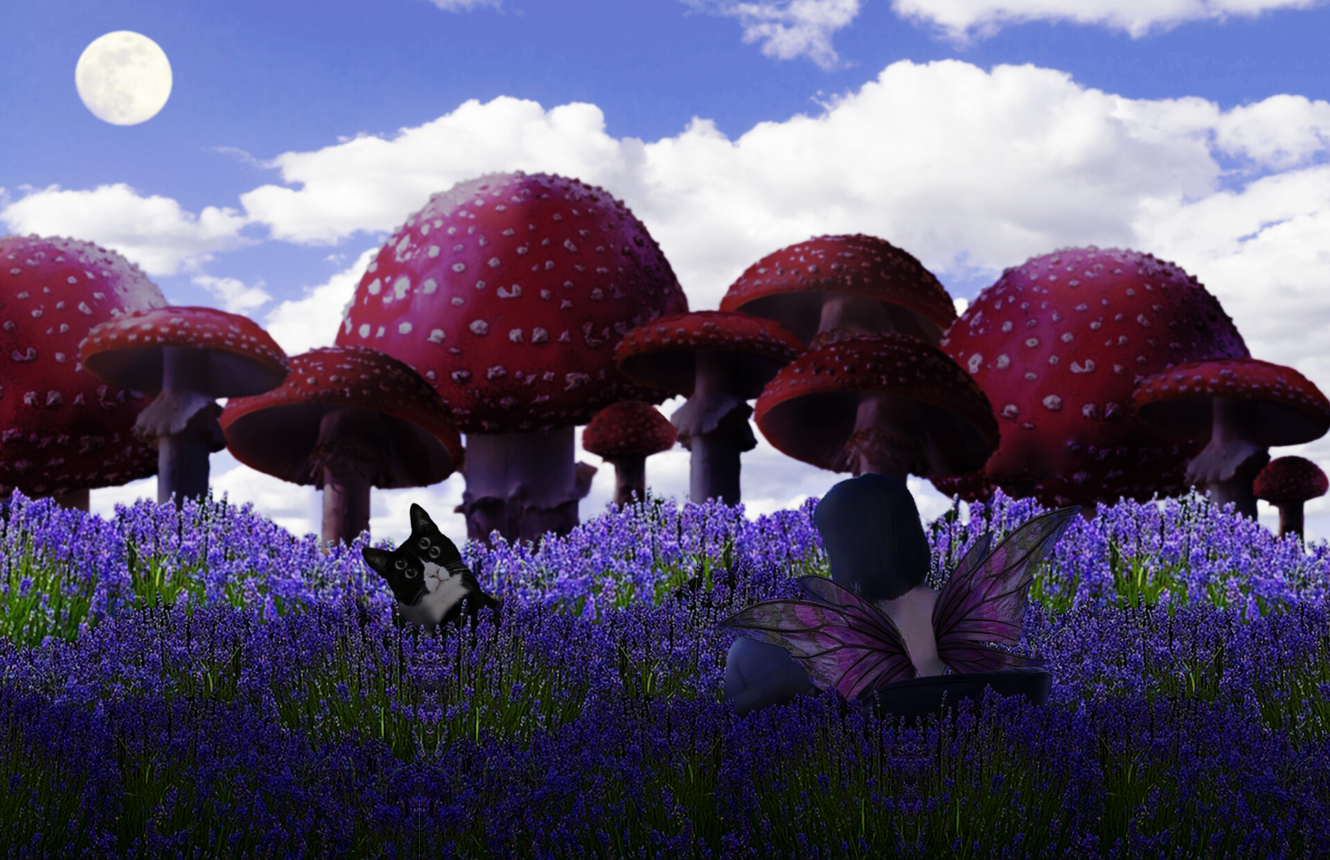 Kueva2112.studio - Matte painting - Fairy