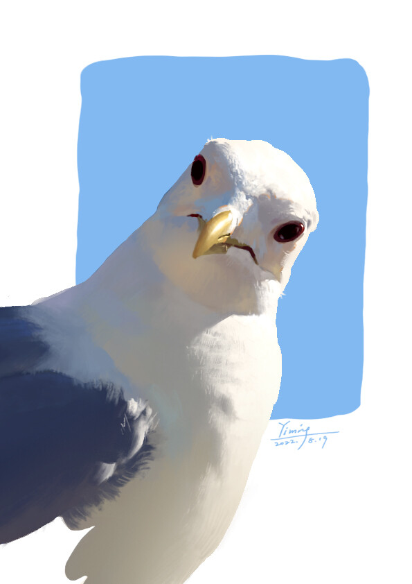 ArtStation - Color study animals 色彩练习小动物