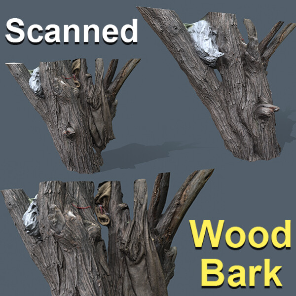 ArtStation - Wood Bark Low Poly